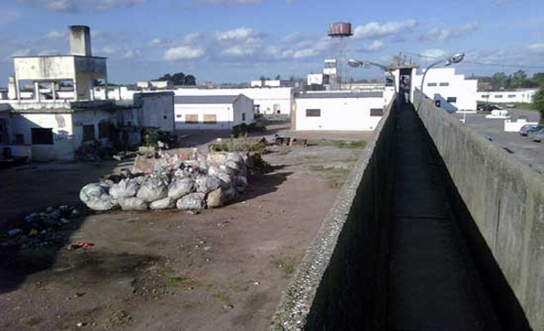 Denuncian con impactantes imágenes el estado y las condiciones de vida ...