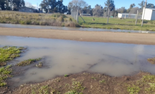Reclamo por el estado de las calles en el sector quintas: “Está todo ...