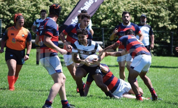 Estudiantes, finalista en el Seven de la UROBA | Infoeme